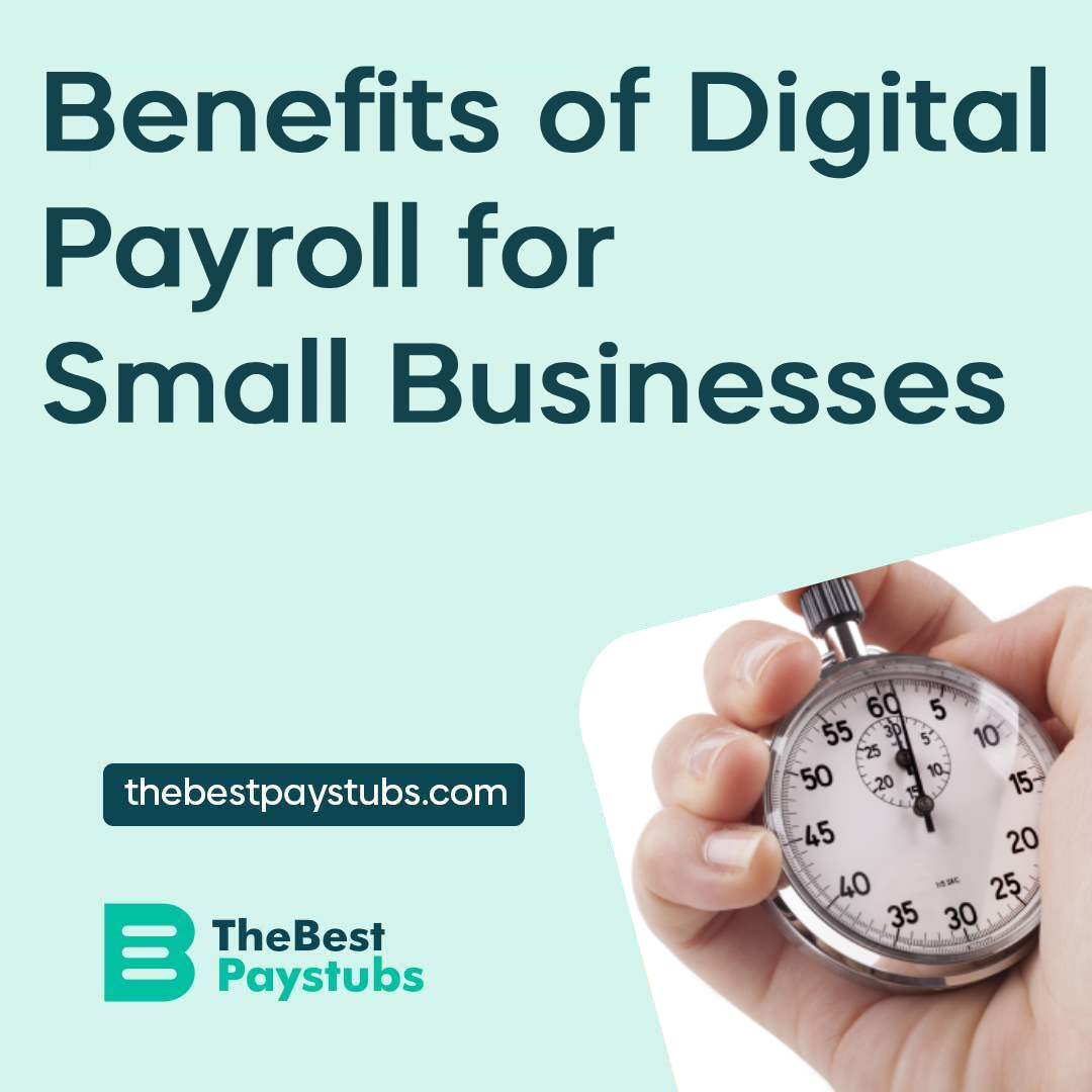 Pay Stub Generator - Check Stub Maker, Paycheck Stub Creator | The Best Paystubs