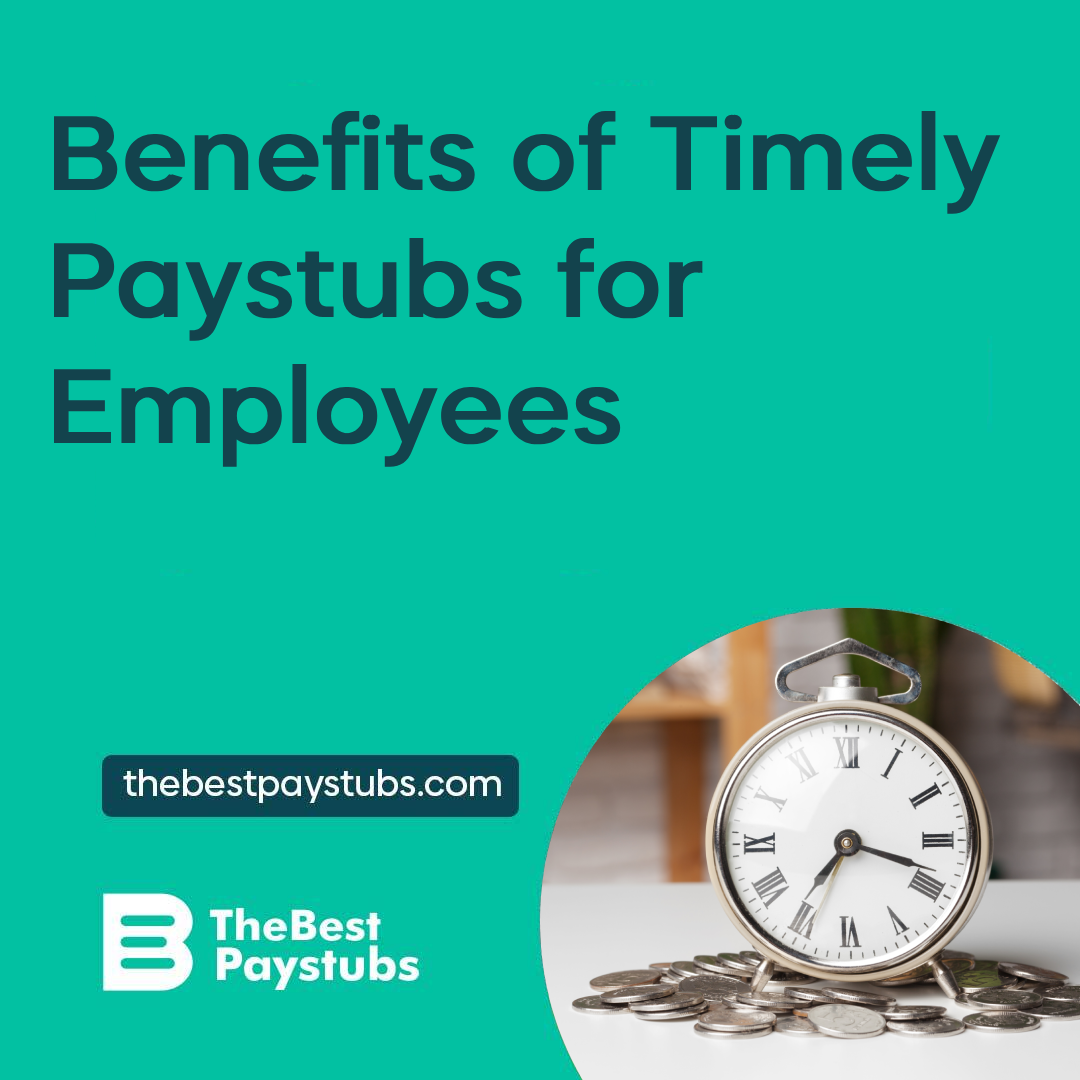 Pay Stub Generator - Check Stub Maker, Paycheck Stub Creator | The Best ...