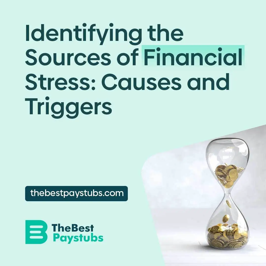 Identifying the Sources of Financial Stress: Causes and Triggers