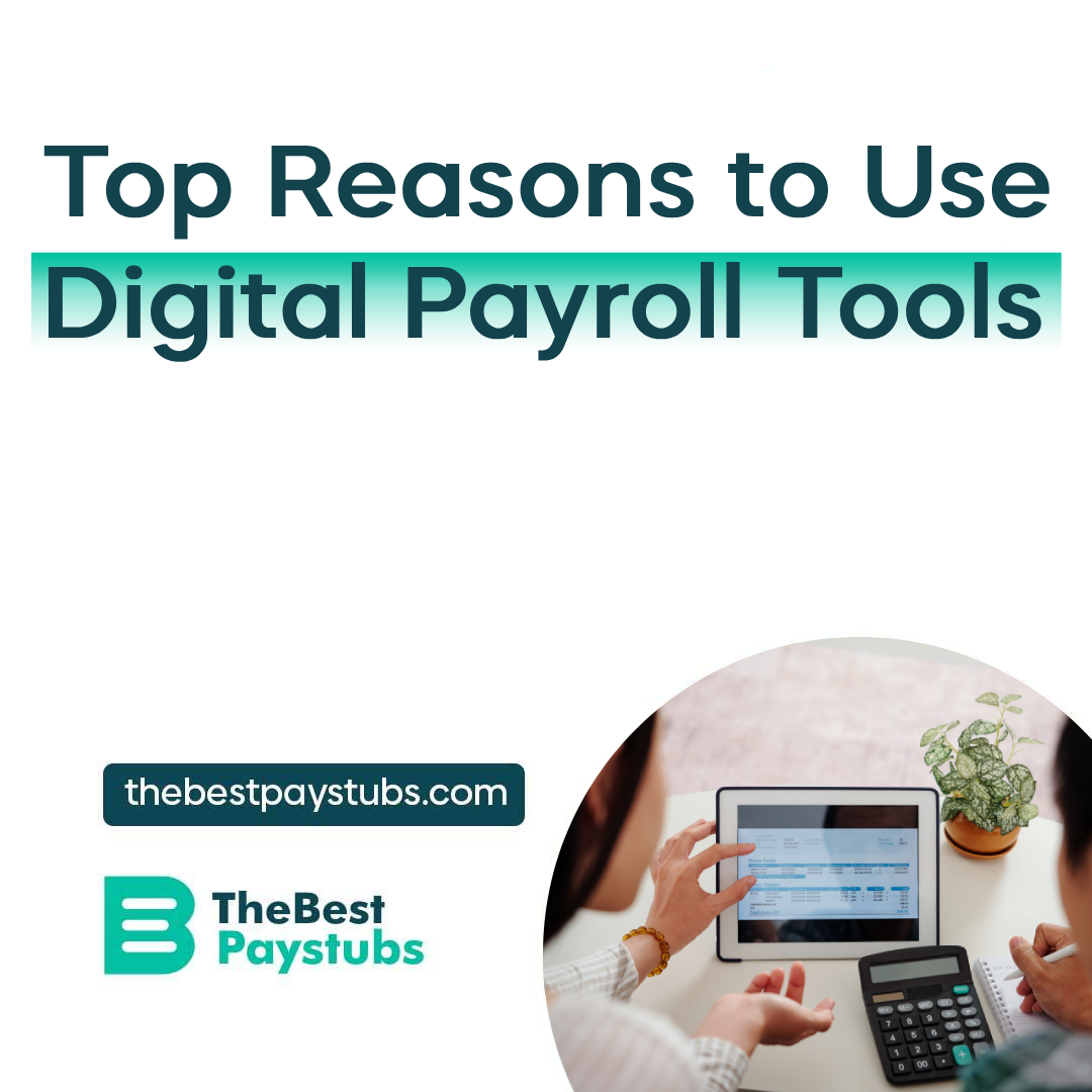 Pay Stub Generator - Check Stub Maker, Paycheck Stub Creator | The Best ...